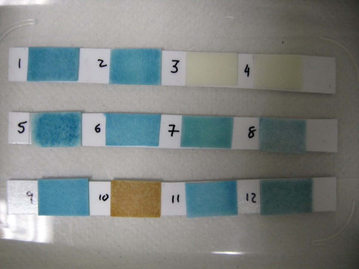 strip test 1 | Helier Scientific ltd
